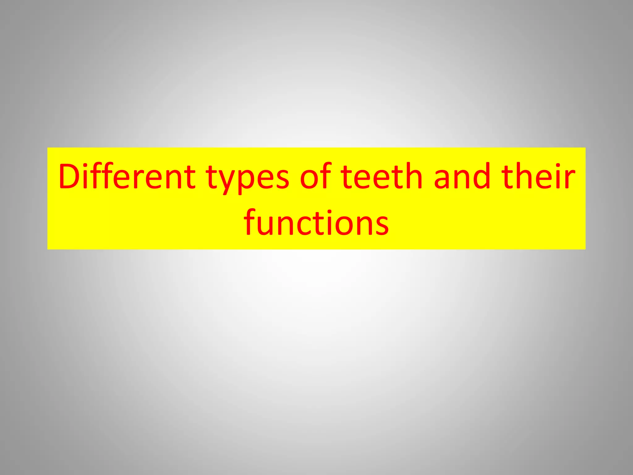 Different types of teeth and their functions | PPTX