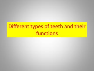 Different types of teeth and their functions | PPTX