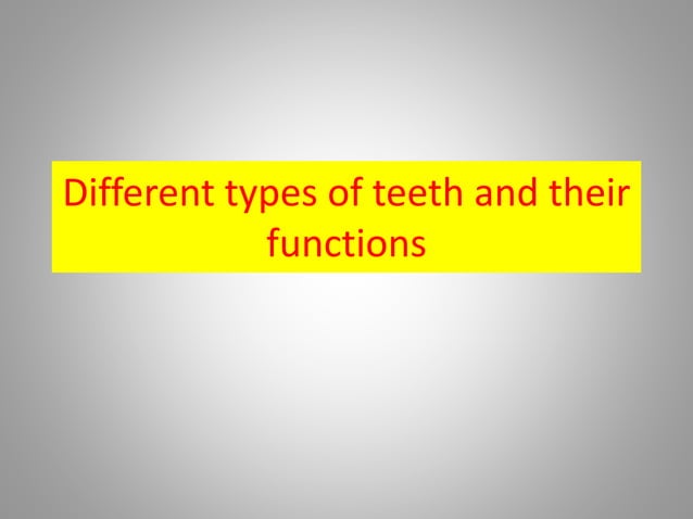 Different types of teeth and their functions | PPTX