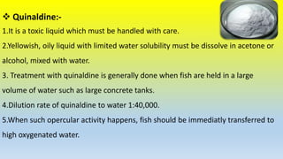 Different anashetics | PPTX