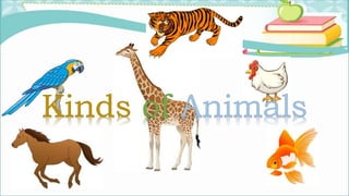 Different animals | PPT