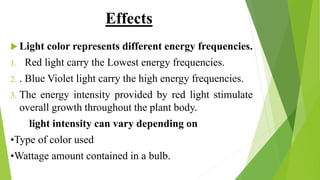 Different aspects of light and their influence on plant growth | PPTX