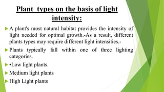 Different aspects of light and their influence on plant growth | PPTX