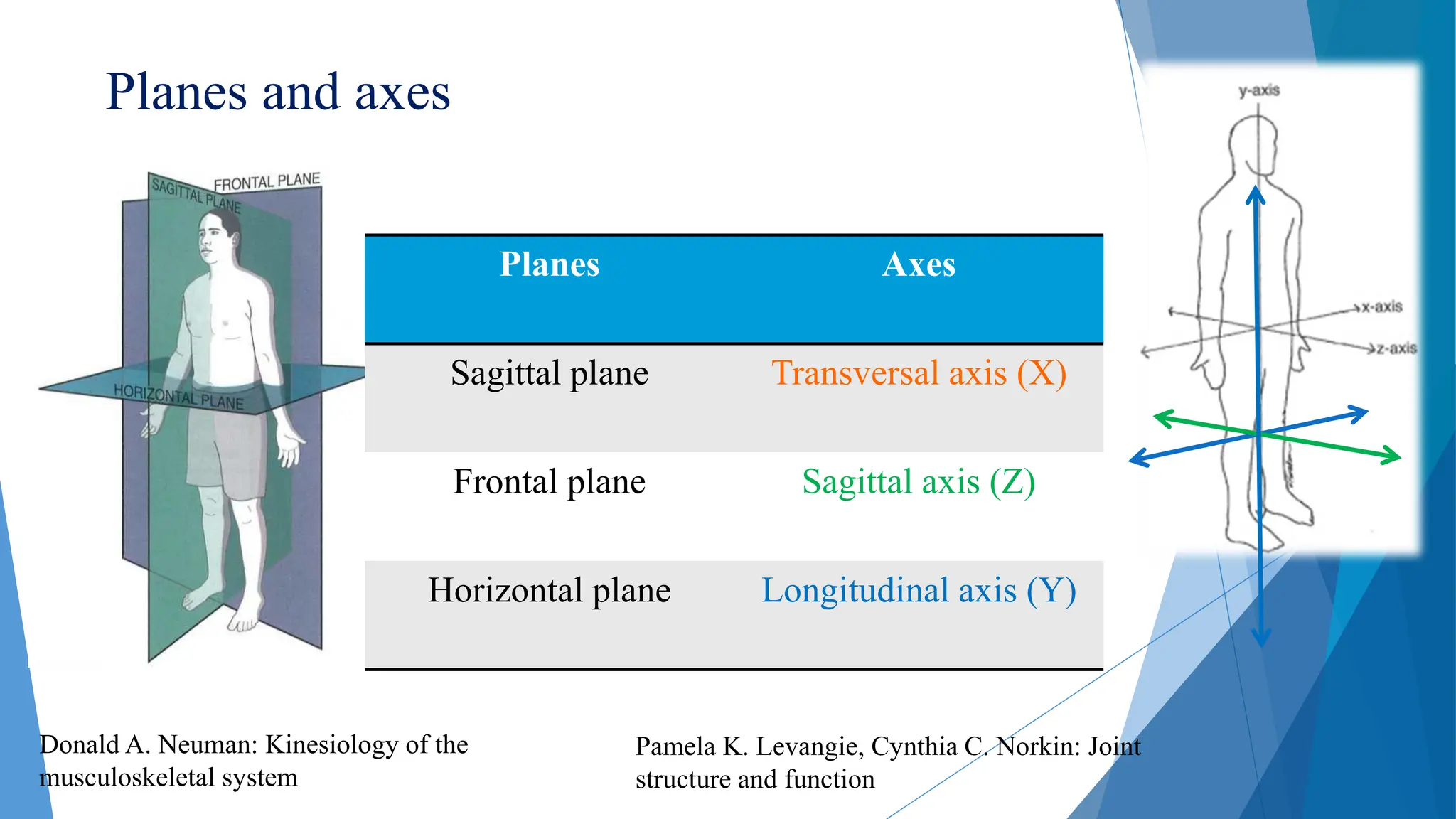 Different axes and planes of joints in the spine and limbs.pdf