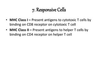 Different between mhc class 1 and mhc class | PPTX