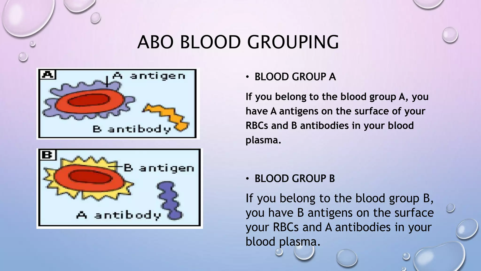 Different blood groups and their significance | PPTX