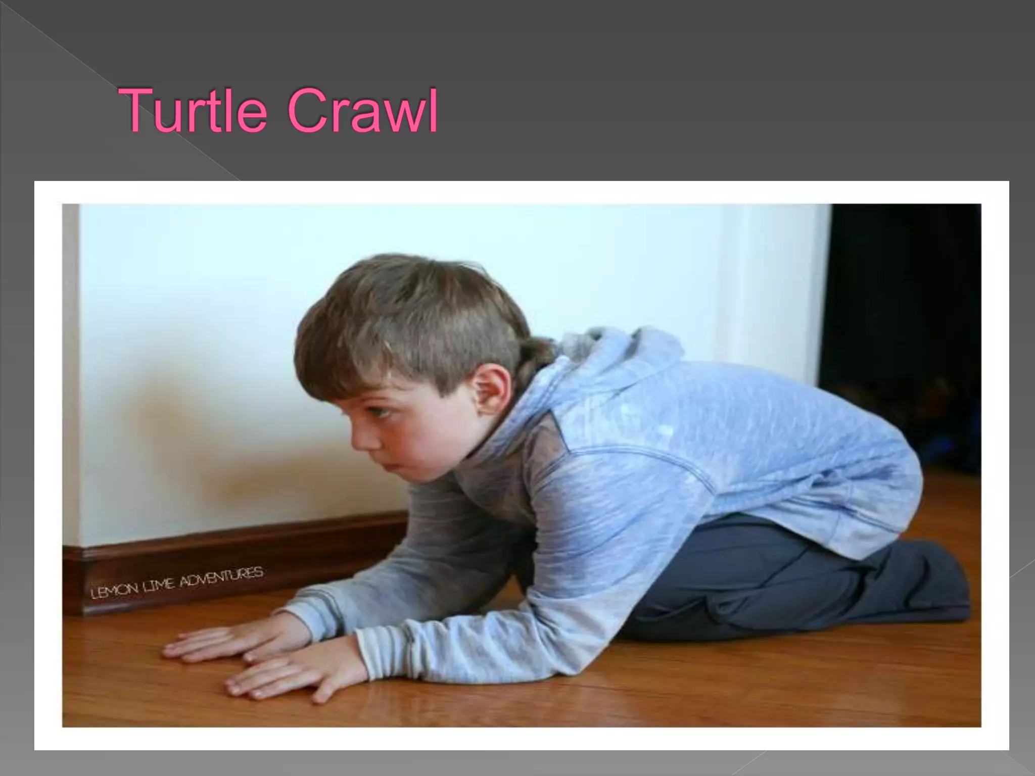 Different body movements and animal walk | PPT