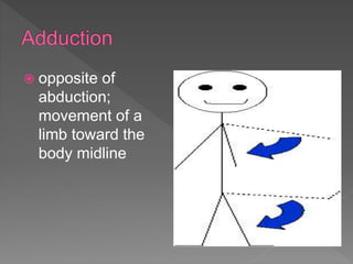Different body movements and animal walk | PPTX