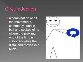 Different body movements and animal walk | PPT
