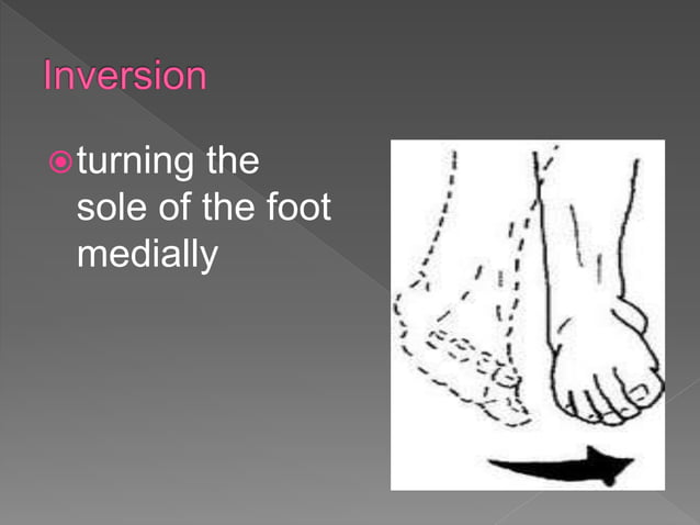 Different body movements and animal walk | PPT