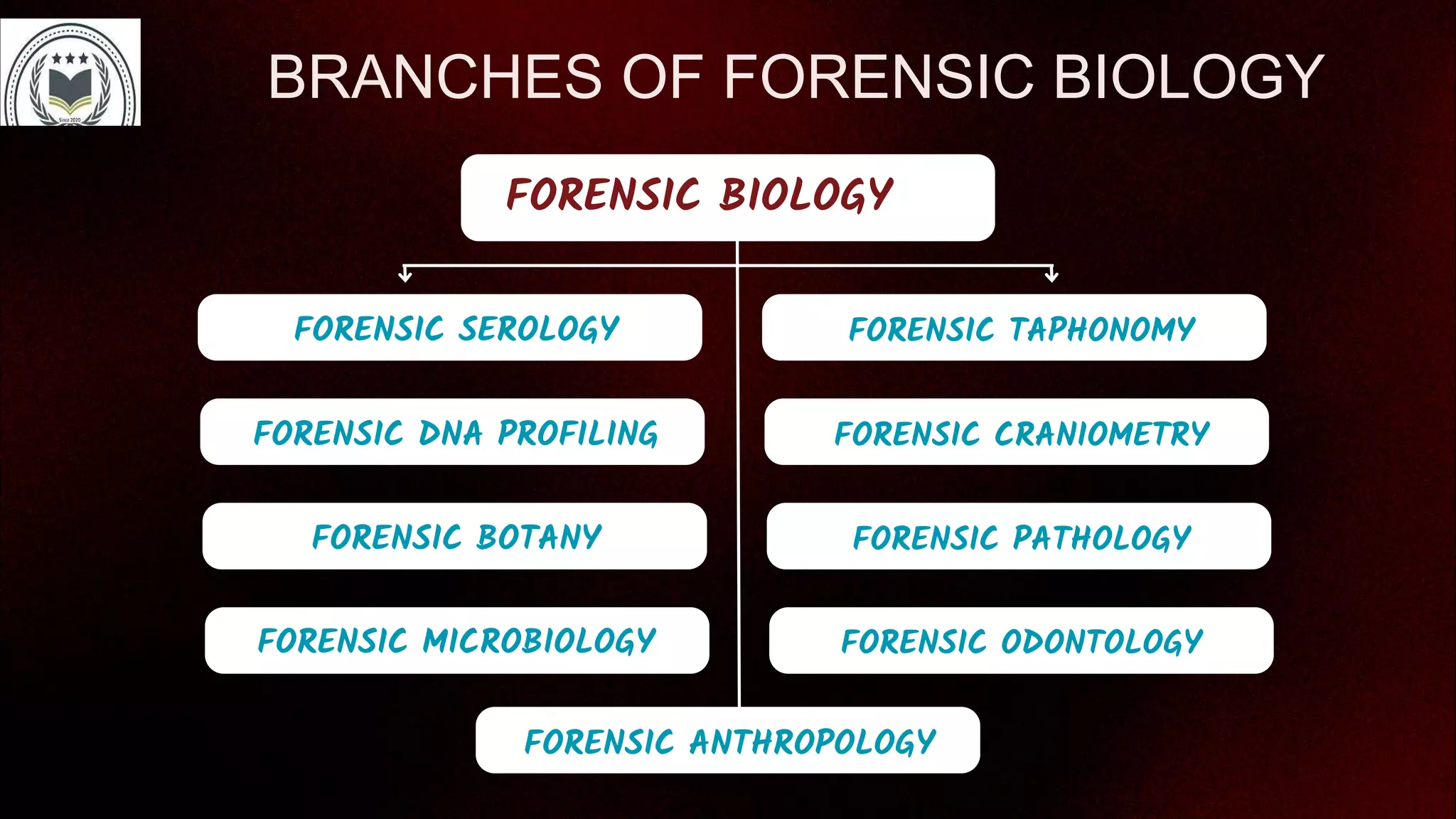 Different branches in forensic biology | PPTX