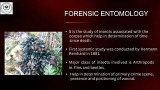 Different branches in forensic biology | PPTX