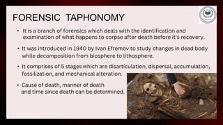 Different branches in forensic biology | PPTX
