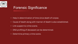 Different branches in forensic biology | PPTX