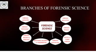 Different branches in forensic biology | PPTX