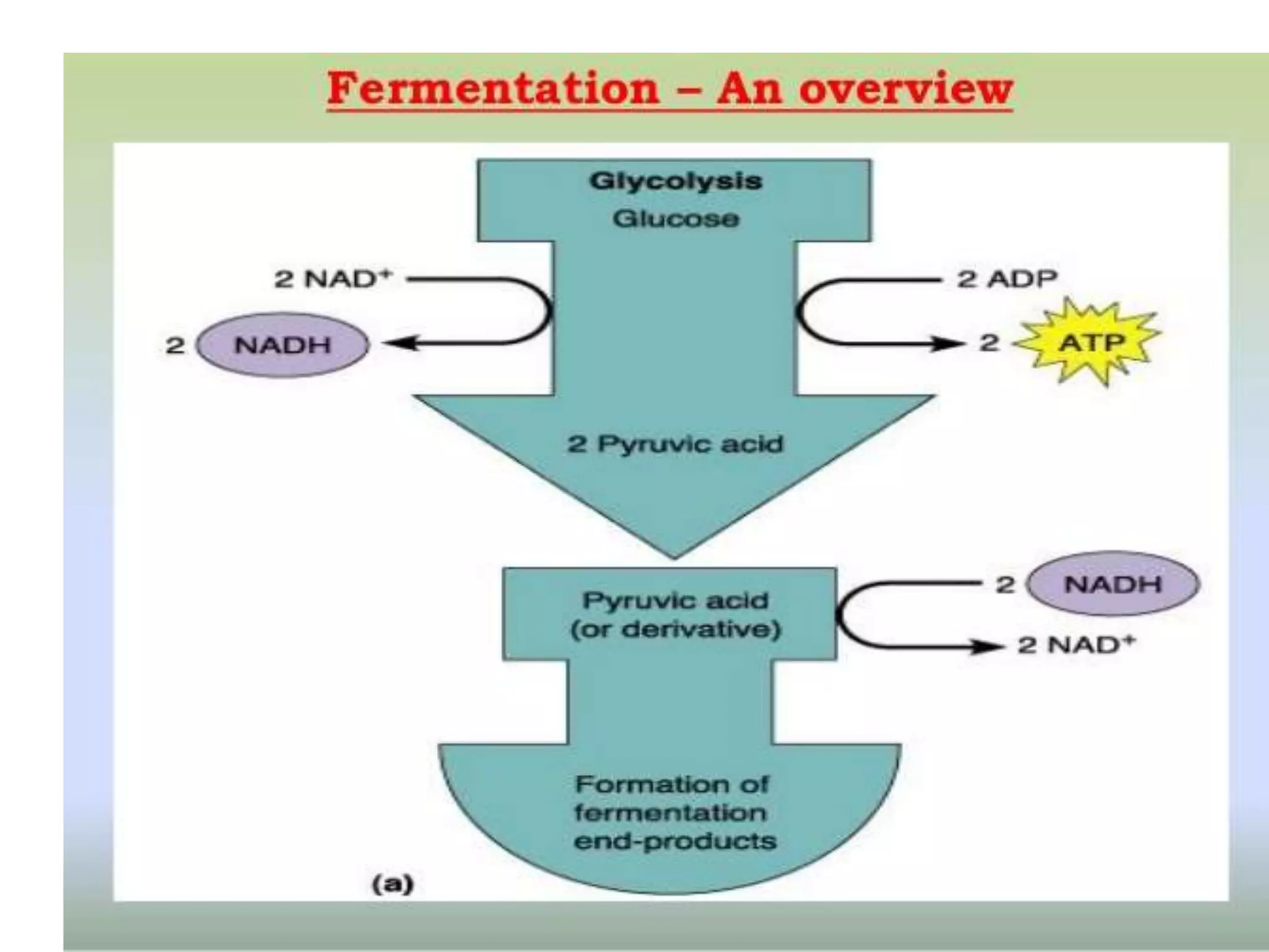 Different carbohydrate metabolism pathways by microbes | PPTX
