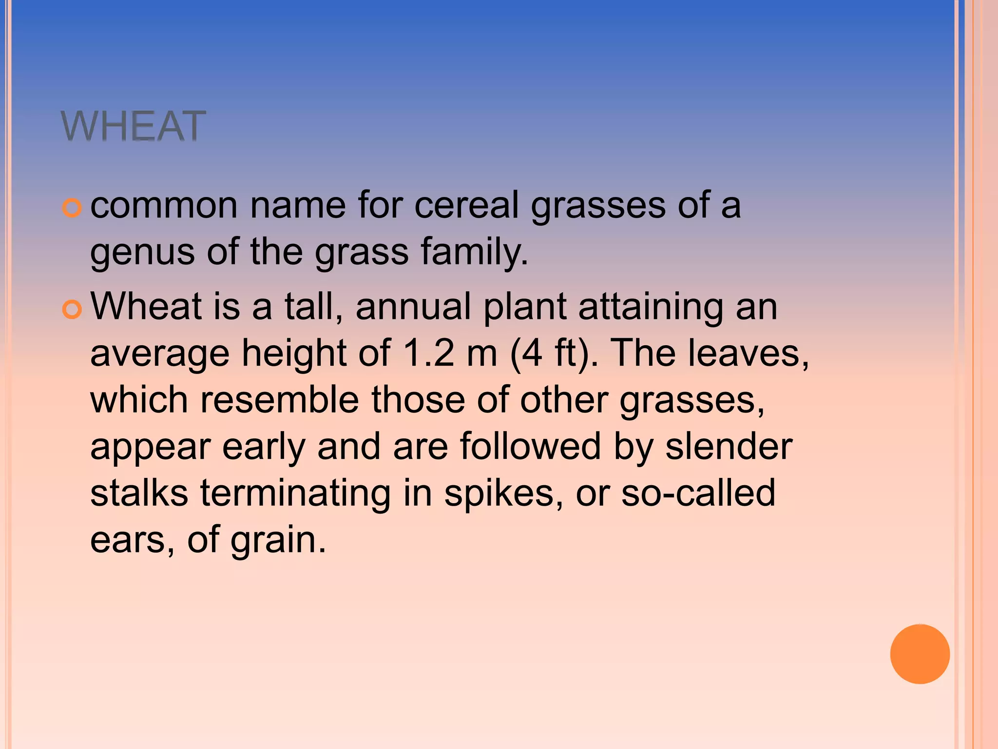 Different classifications of field crops.agronomy | PPTX