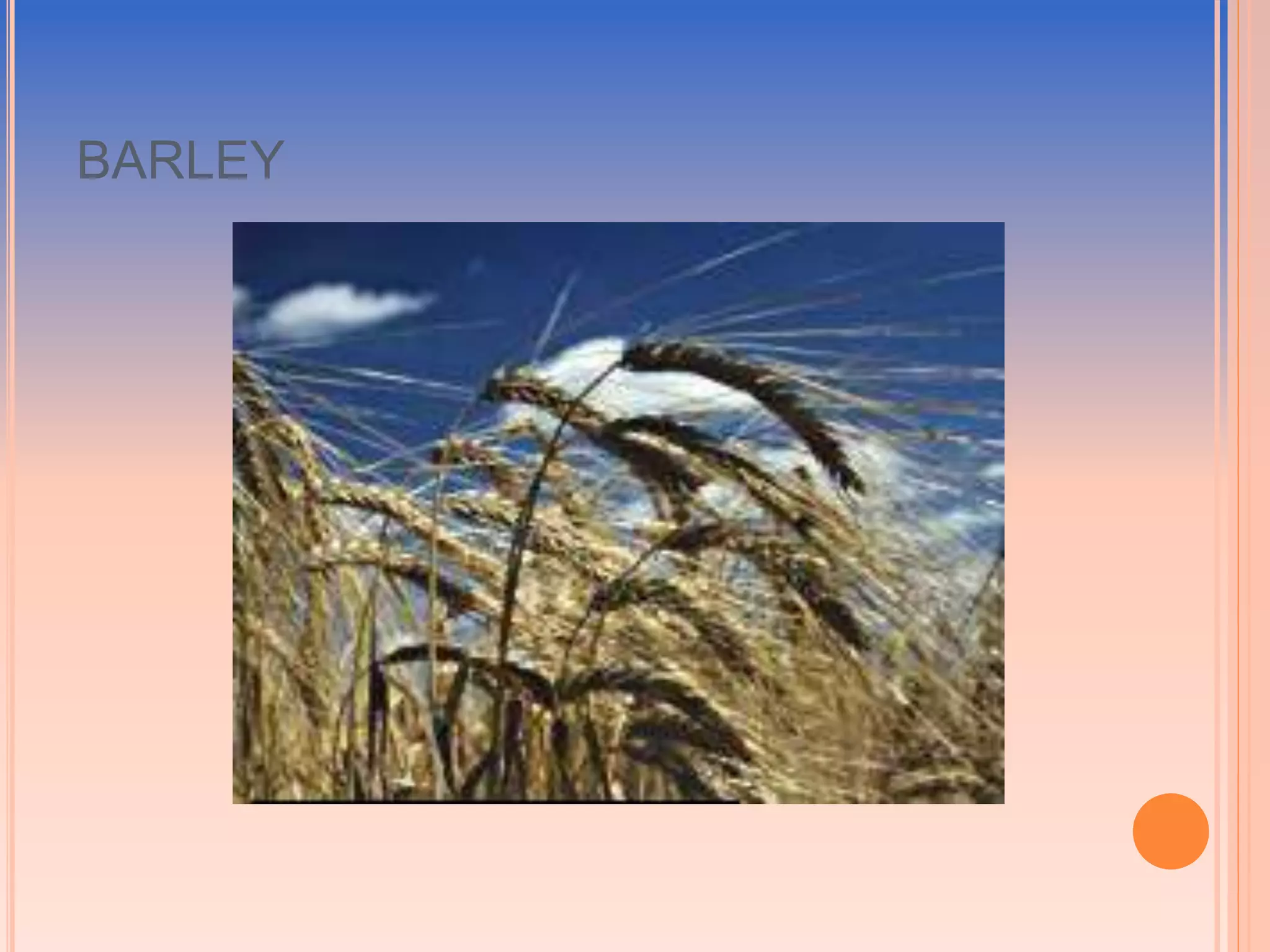 Different classifications of field crops.agronomy | PPTX