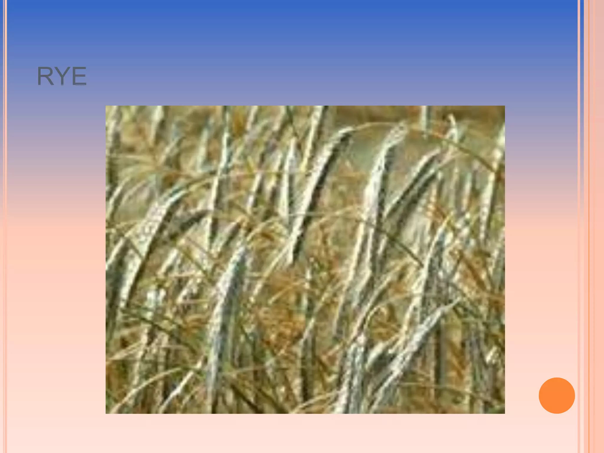 Different classifications of field crops.agronomy | PPTX