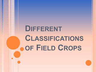 Different classifications of field crops.agronomy | PPTX