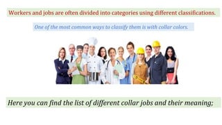 Different Collar Workers ( Blue vs White vs Pink vs Gold vs Black and ...