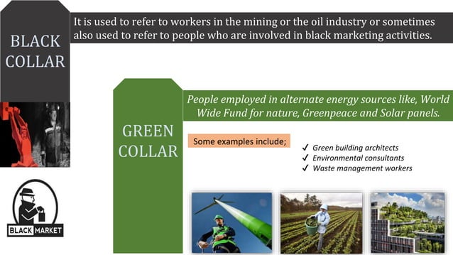 Different Collar Workers ( Blue vs White vs Pink vs Gold vs Black and ...