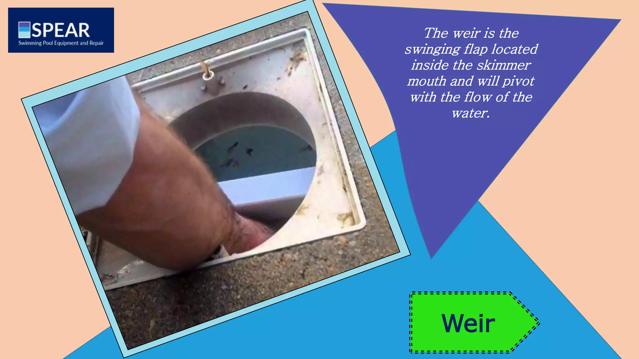 Different Components of a Swimming Pool Skimmer | PPTX