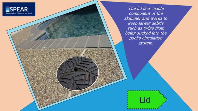 Different Components of a Swimming Pool Skimmer | PPTX | Swimming | Sports