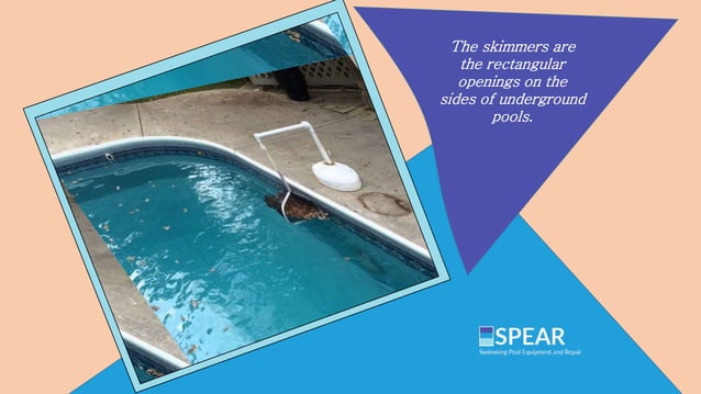Different Components of a Swimming Pool Skimmer | PPTX | Swimming | Sports