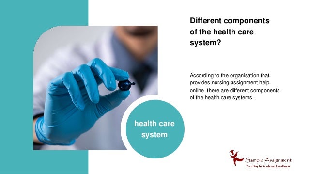 Different components of the health care system.pptx
