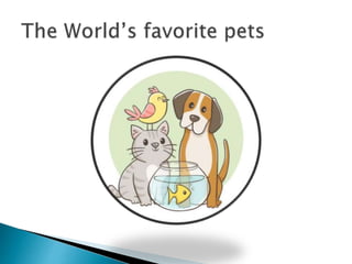 Different Cultures – Different Pets.pptx