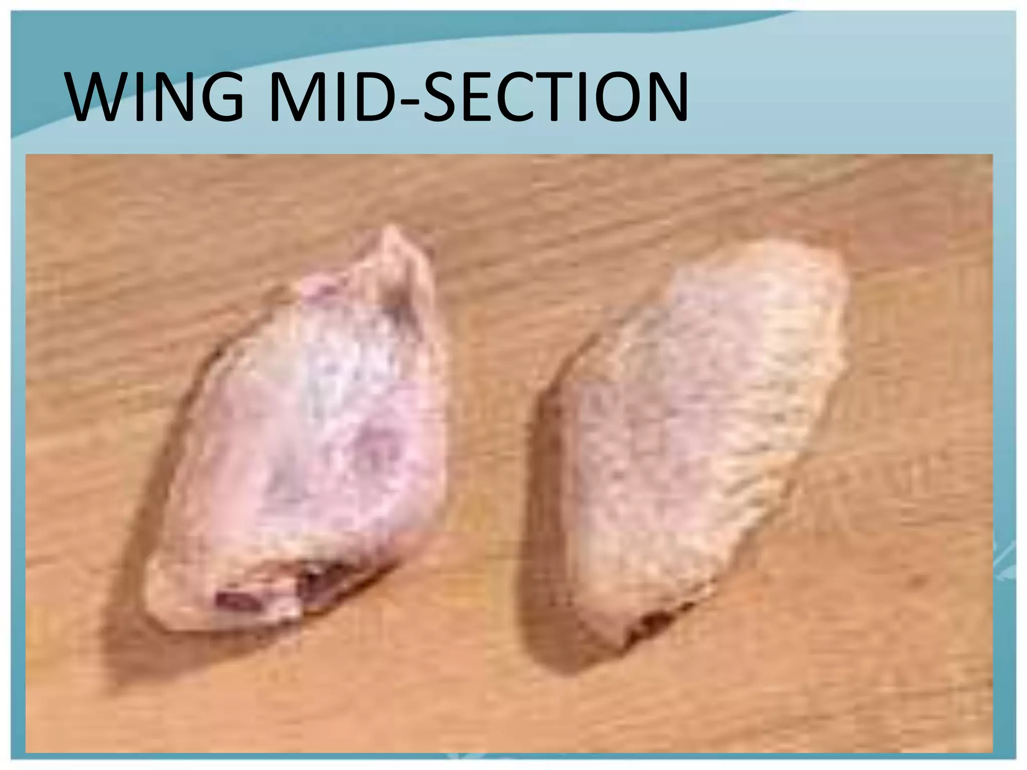 different cuts of poultry.pptx