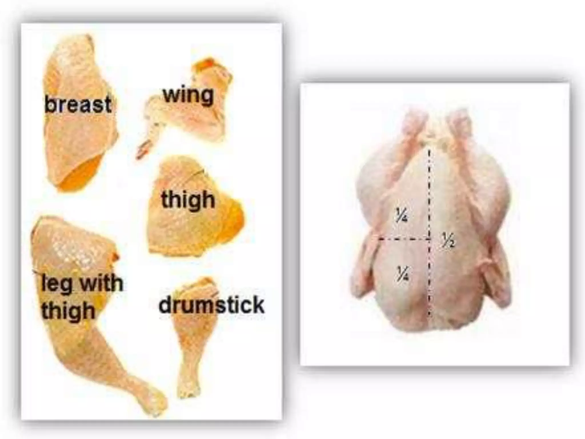 different cuts of poultry.pptx | Birds | Pets