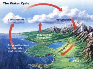Different BIO - GEO cycle of eco system | PPTX