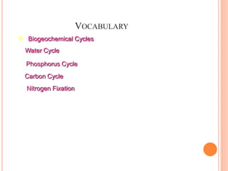 Different BIO - GEO cycle of eco system | PPTX