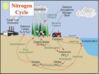 Different BIO - GEO cycle of eco system | PPTX