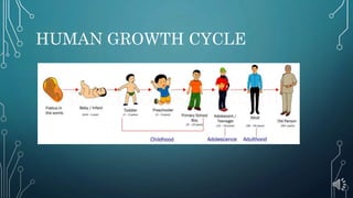 Different cycles of body.pptx