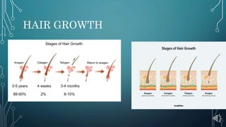 Different cycles of body.pptx
