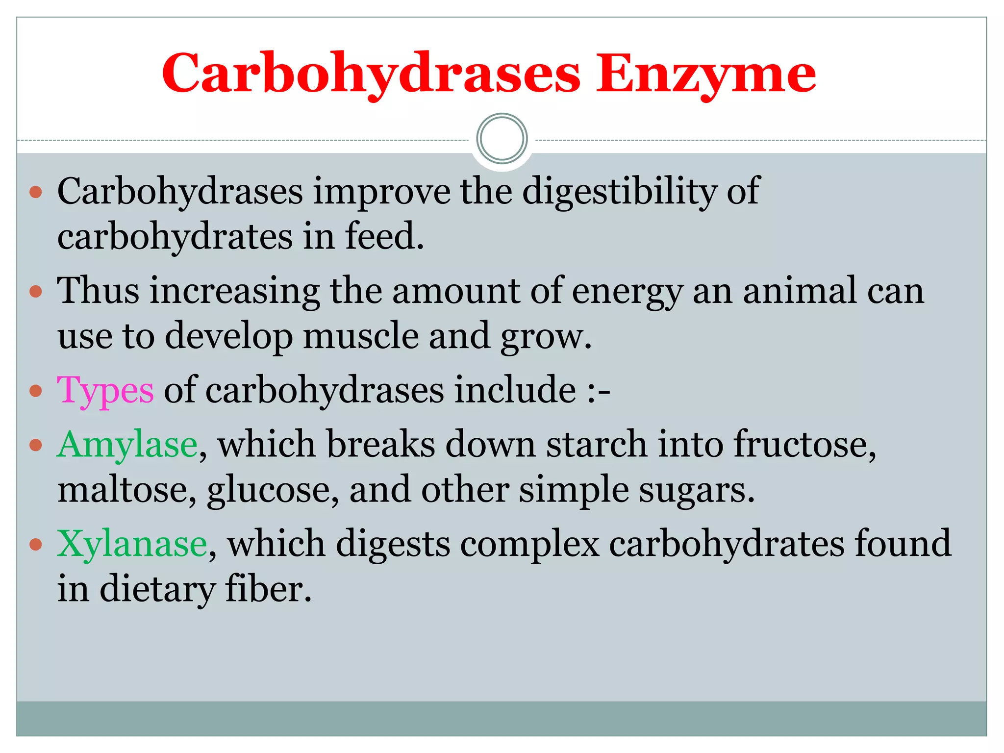 Different enzymes in animal nutrition | PPTX