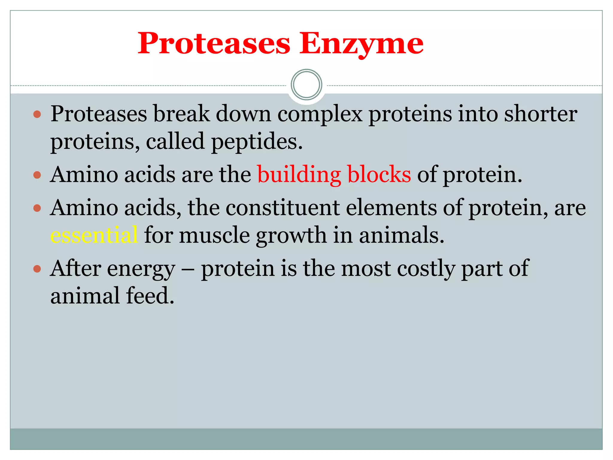 Different enzymes in animal nutrition | PPTX