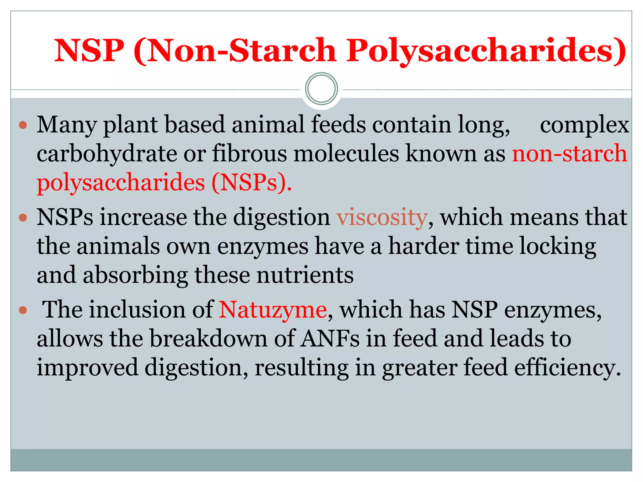Different enzymes in animal nutrition | PPTX