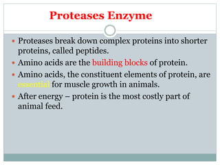Different enzymes in animal nutrition | PPTX