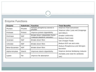 Different enzymes in animal nutrition | PPTX