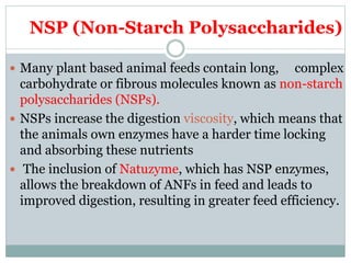 Different enzymes in animal nutrition | PPTX