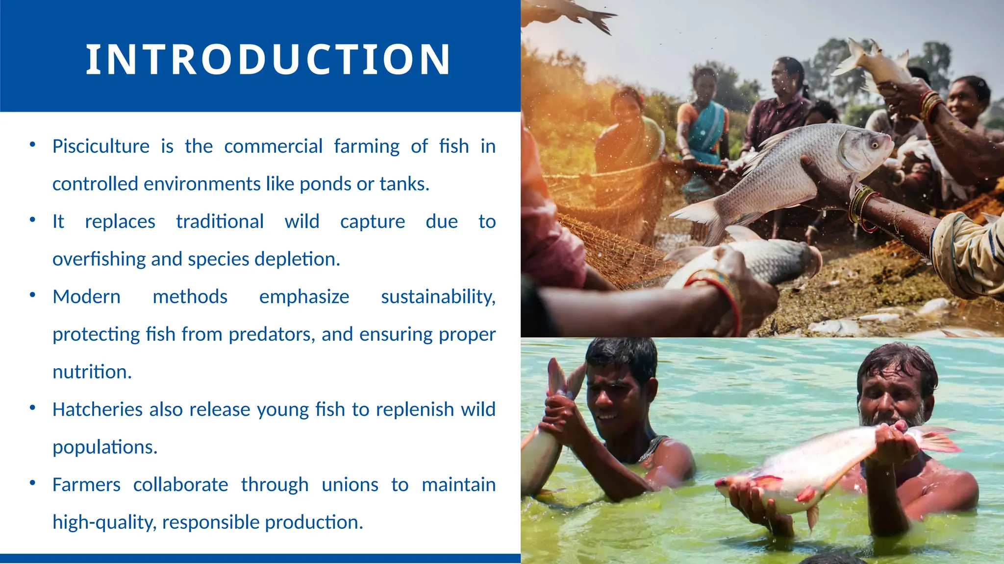 Different Fish Farming Methods in the World.pptx