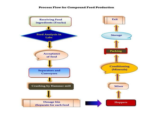 Different forms and designs of feed mill | PPTX | Agriculture | Industries