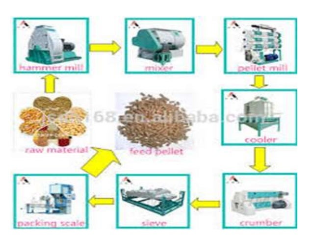 Different forms and designs of feed mill