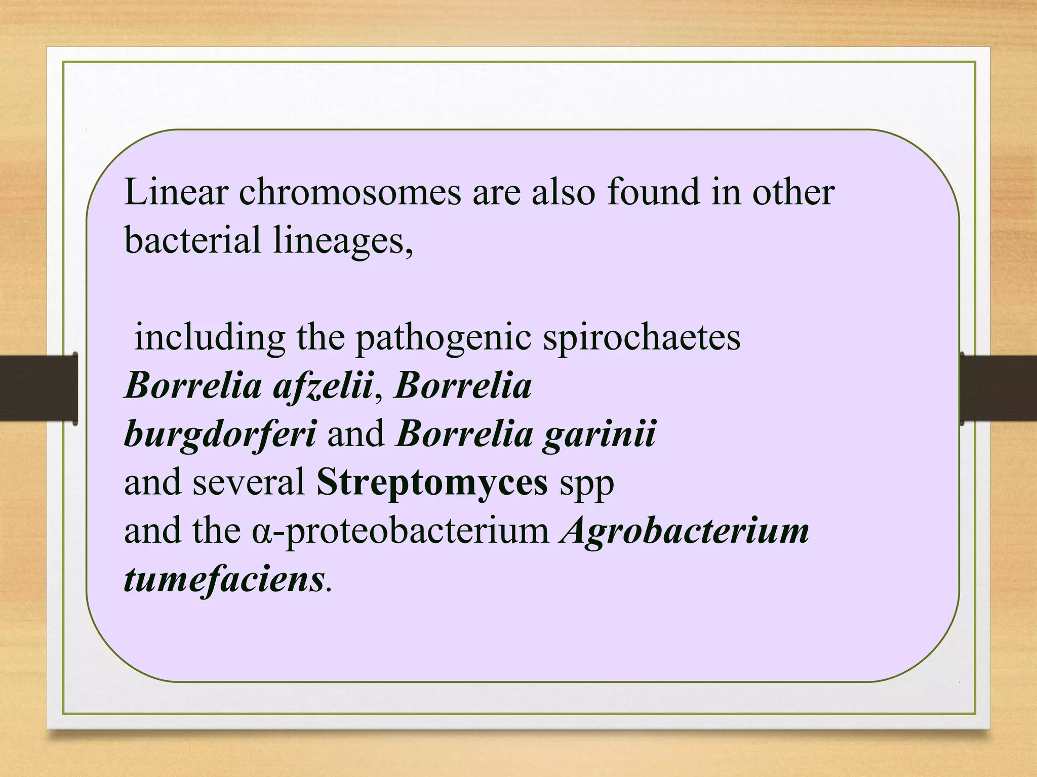 Different forms of bacterial chromosom | PPT