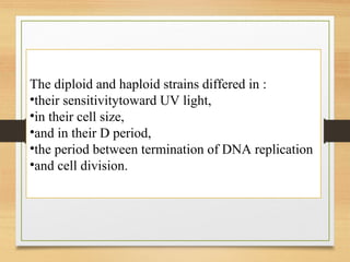 Different forms of bacterial chromosom | PPT