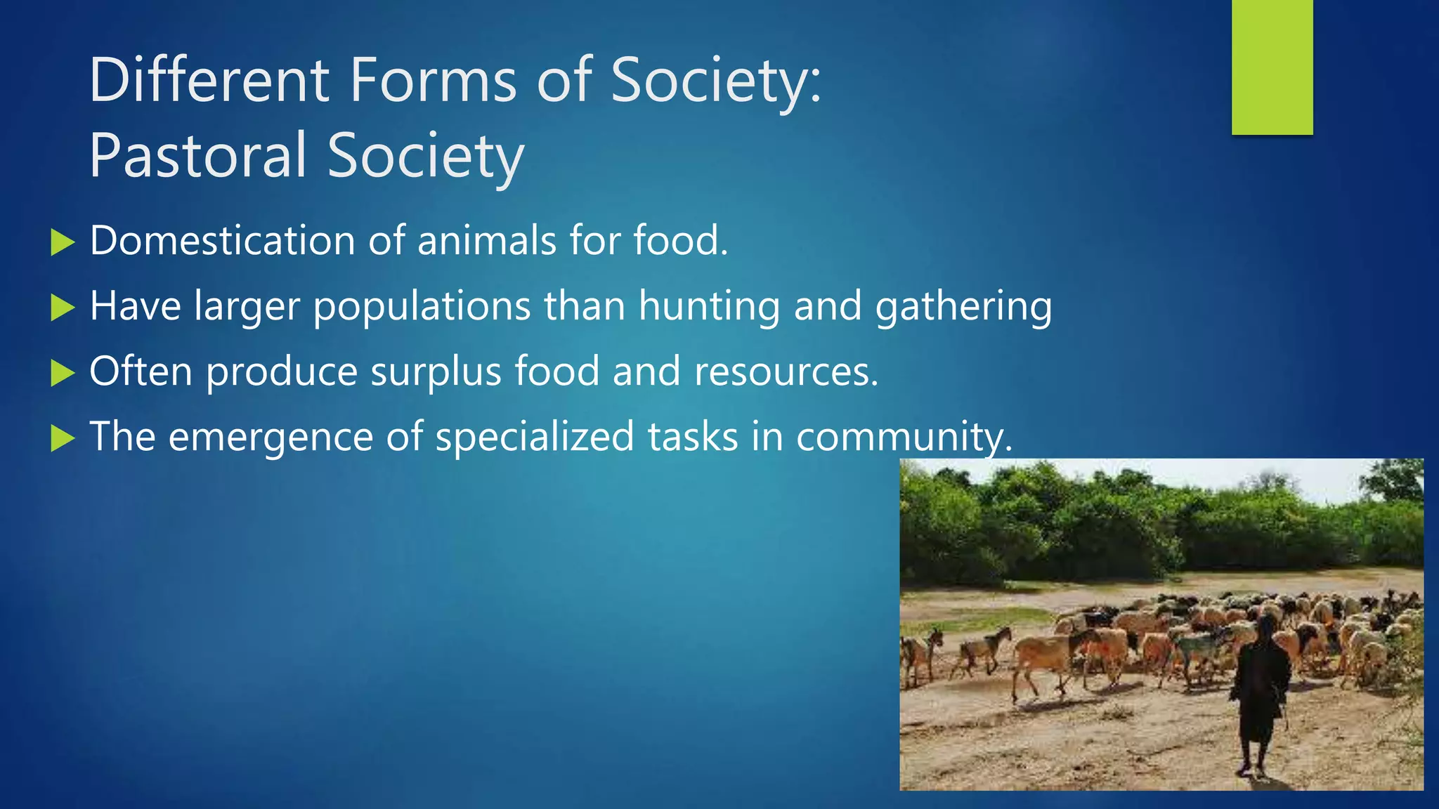 Different Forms of Society | PPTX